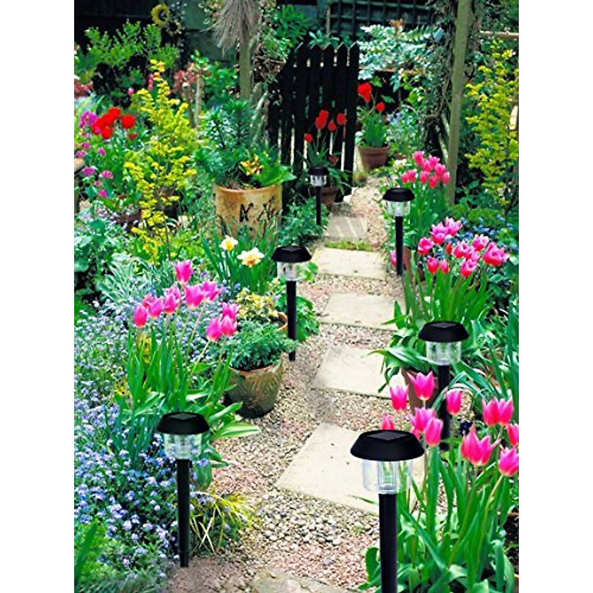 Solario Garden Decor Solar Powered Stake Lights- Pack of 6- Decorative Classic Lamps- Highest Lumen LED Brighter Than Standard- Superior Monocrystalline Panel (Black)