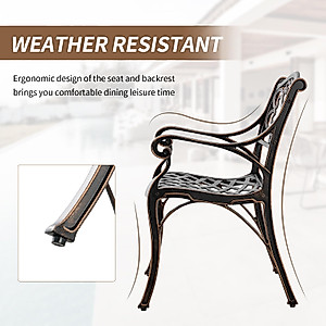 PATIO-IN 2 Pieces Patio Dining Chairs Cast Aluminum Bistro Chair Set, All Weather Outdoor Chair with Bronze MAluminum Frame for Outdoor Lawn Garden (Bronze)