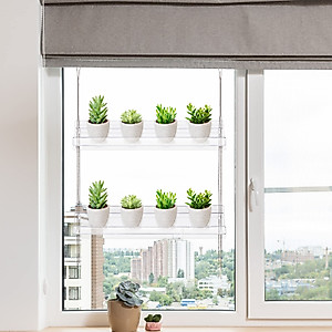 Sumerflos 2-Tier Acrylic Plant Shelves for Window of Kitchen, Bedroom, Living Room, 16 Inch Window Wall Flower Double Hanger Boxes, Height Adjustable Hanging Shelves for Indoor Plants, Succulents