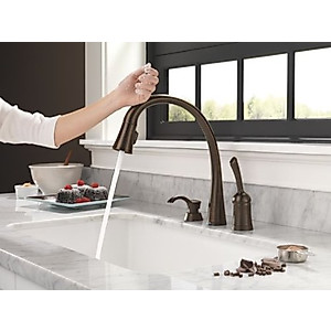 Delta Faucet Pilar Kitchen Soap Dispenser for Kitchen Sinks, Venetian Bronze RP50781RB