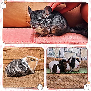 10 Pieces Guinea Pigs Blankets Hamster Fleece Cage Liners Soft Guinea Pig Accessories Small Animal Pet Blanket Sleep Bedding Mats Pet Supplies for Dog Puppy Cat (Mixed Colors, 11.8 x 11.8 Inch)