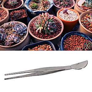 CHICIRIS Bonsai Long Tweezers, Garden Tweezers Bonsai, Stainless Steel Bonsai Tweezers Long Tweezers with Moon Spatula Head for Potted Loosening Soil Planing Grass (Straight)