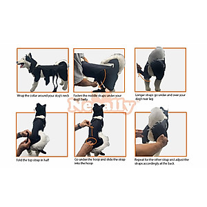 NeoAlly Dog Back Brace for Dogs Arthritis, IVDD, Spinal Surgical Recovery, and Back Disease Prevention (Extra Large)