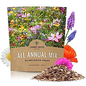 Wildflower Seeds Annual Quick Blooming Mix - Large 1 Ounce Packet Over 7,500 Open Pollinated Seeds