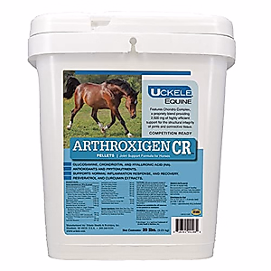 Uckele Arthroxigen Pellets - Joint Supplement Formula for Horses - Eqiune Vitamin & Mineral Supplement - Competition Ready - 20 Pound (lb)