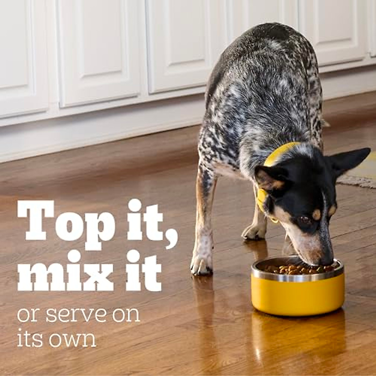 PEDIGREE CHOICE CUTS IN GRAVY Adult Canned Soft Wet Dog Food Variety Pack, with Beef and Country Stew, 13.2 oz. Cans (Pack of 12)