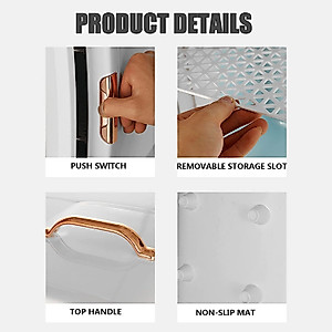 WESTN 20L Mini Fridge, Portable Skincare Beauty Fridge with LED Makeup Mirror (3 Level Brightness), Multifunctional Dual Purpose, for Food, Drinks, Skin Care, Beauty