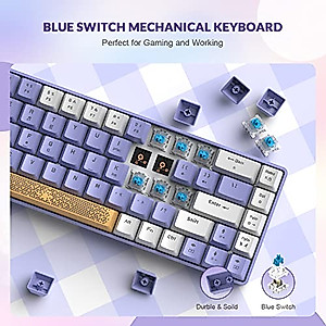 ZIYOU LANG RK-T8 Wired 65% Mechanical Gaming Keyboard with RGB LED Backlit Anti-ghosting TKL Mini 68 Key Custom Coiled C to A Cable Tactile Blue Switch for PS4 PS5 Xbox PC Mac Gamer(White Purple)