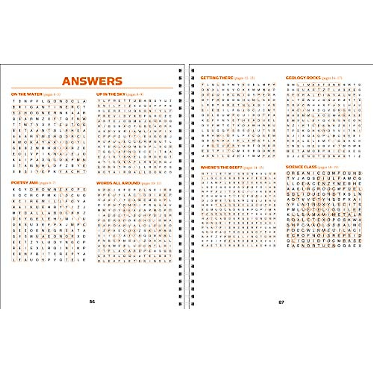 AARP Large Print Word Search