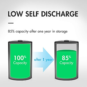 Tenergy Centura NiMH Rechargeable C Batteries, 4000mAh C Battery, Low Self Discharge C Cell Battery, Pre-Charged C Size Battery, 2 Pack