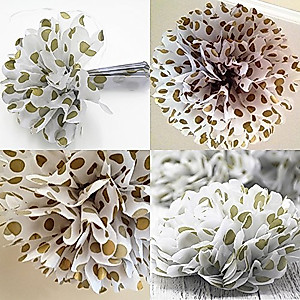 Birthday Decorations Black Happy Birthday Banner Paper Flowers Tissue Paper Pom Poms Paper Lanterns Paper Fans for Birthday Party