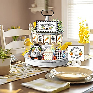 10 Pcs Easter Tiered Tray Decor- Carrot Bunny Wood Sign Decoration Rustic Farmhouse Easter Table Decor with 2 Pcs Small Stand for Home Kitchen Living Room, Dining Table, Easter Party Desk