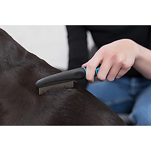 TRIXIE Pet Grooming Flea Comb, For Cats, Dogs, and Small Animals, Removes Fleas, Flea Eggs and Other Debris, 8" (21cm)