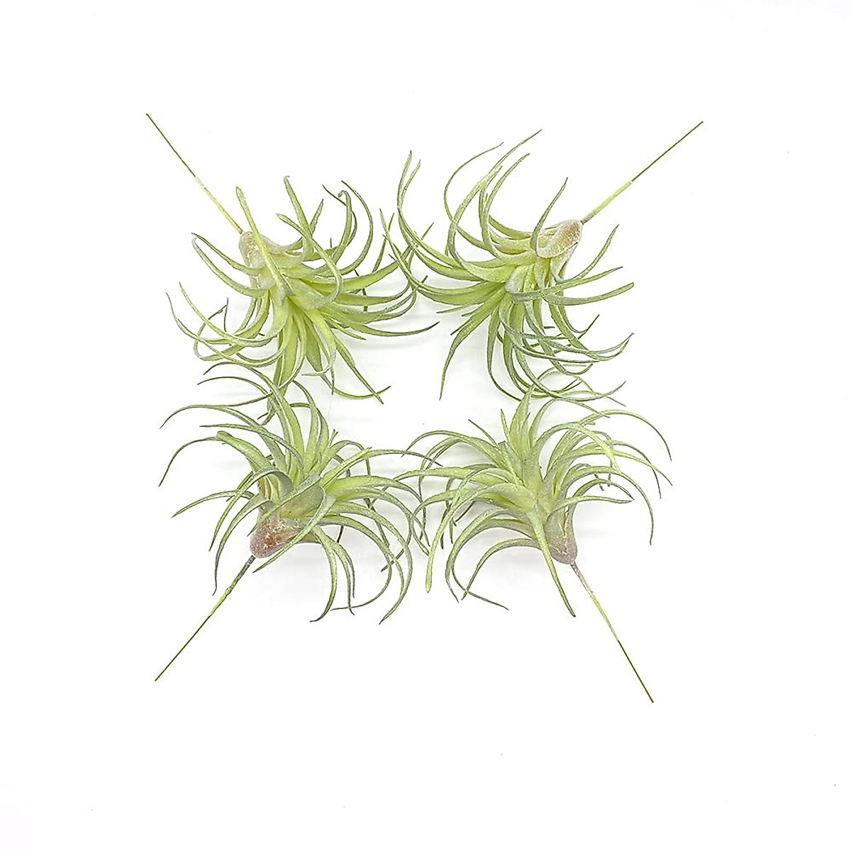 ZKTECH 4 Pack Artificial Succulent Plants Flocked Air Plants Grass Faux Flocking Tillandsia Air Plants Bromeliads for Home Garden Decor Terrarium Project Fake Artificial Plants Arrangement