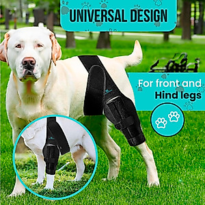 Dog Leg Braces for Back Leg - Dog Knee Brace For Support With Cruciate Ligament Injury, Joint Pain And Muscle Sore,- Dog Knee Brace for Torn ACL Hind Leg Adjustable Rear Leg Braces (Large)