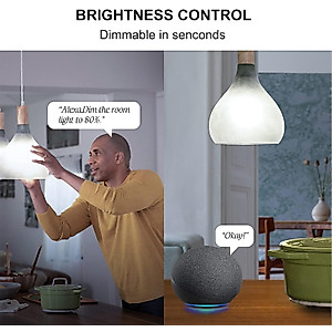 Sengled Alexa Light Bulb, WiFi Bulbs, Smart Bulbs, Smart Bulbs That Work with Alexa and Google Assistant, A19 Daylight (5000K) No Hub Required, 800LM 60W High CRI>90 Equivalent, 4 Pack
