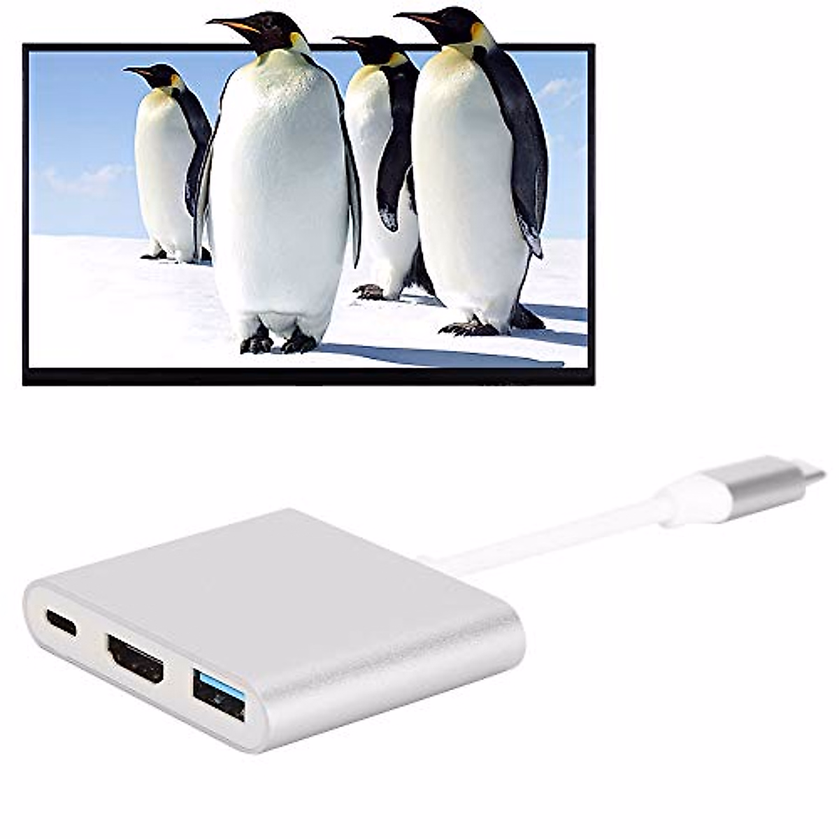 Shanrya Converter, 3 in 1 Type‑c Adapter, 1PCS Plug and Play for Education Presentations Films Exhibitions(Silver)