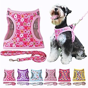 Moonpet Step in Air Dog Harness Leash Set- All Weather Reflective No-Pull Floral Pattern Padded Mesh Vest Harness for Cats Puppy Extra-Small Small Medium Large Dogs - Pink Flower - XXS