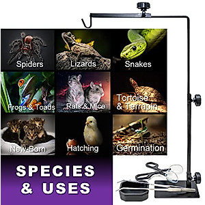GDUUZ Pet Lamp Stand for Reptiles Insects and Cold Blooded Basking Animals– Adjustable Height and Reach Heat Light Hanger – Includes Feeding Accessories