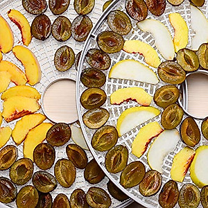 Coitak 6 PCS Round Dehydrator Sheets, Non-stick Silicone Fruit Dehydrator Mats, Reusable Baking Mat For Fruit Dryer, 13" Diameter