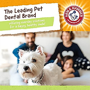 Arm & Hammer Rock-N-Roller Stuffable Dental Chew Toy for Dogs | Perfect Fit for Tennis Ball | Best Dog Chew Toy For the Toughest Chewers | Reduces Plaque & Tartar Buildup Without Brushing, Red