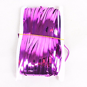 2 Pack 3.2ft x 8.2ft Foil Fringe Curtain Backdrop Metallic Tinsel Foil Fringe Curtains Party Decorations Rose Red Tinsel Streamer Backdrop Photo Booth Props for Graduation Baby Shower Wedding