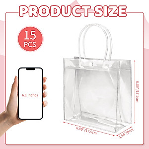 BadenBach 15 PCS Clear Gift Bags with Handles,6.89" x 6.89" x 3.54",Plastic Clear Gift Bags Clear Goodie Bags Clear Favor Small Tote Bags for Wedding Birthday Baby Shower Party Halloween Christmas