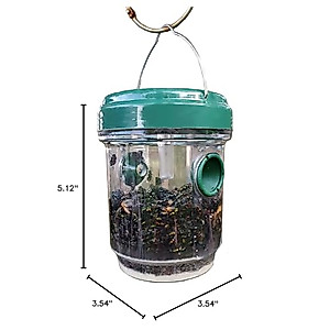 GREENSTRIKE 10050 Solar Decorative Led Fly Trap Lantern