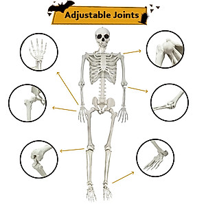 Halloween Skeleton, Full Size Skeleton Skull Decor with Movable Posable Joints for Halloween Front Yard Patio Lawn Garden Props Spooky Party Decoration