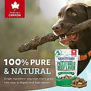 Nutri Bites Freeze Dried Liver Treats for Dogs & Cats - High-Protein Single Ingredient Freeze Dried Dog Treats, Beef Liver - Grain Free, Easy to Digest - Proudly Made in Canada - 500g / 17.6oz (3pk)