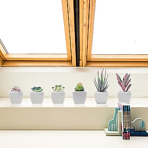 Kisangel 6Pcs Faux Succulents Artificial Simulation Succulents Cactus Artificial Potted Plants Cacti for Home Bonsai Decor Garden Greenery