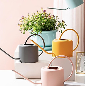 Garden Watering Can Watering Can Indoor for House Plants Indoor and Outdoor Long Spout Watering Can for Succulent Garden Bonsai Garden Flower with Plastic Plant Mister, 1.3L Watering Can for Outdoor P