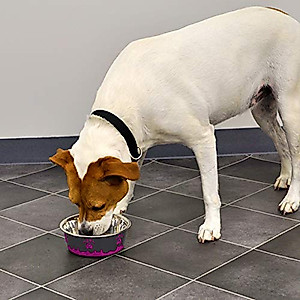 Maslow Design Series Non-Skid Paw Design Bowl, Pink 28 Ounce/3.5 Cup