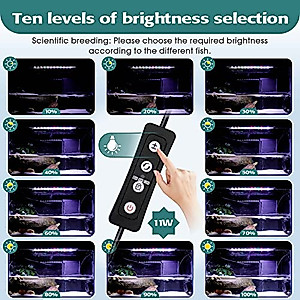 hygger 11W Full Spectrum Aquarium LED Light with 10 Levels of Brightness, White Blue Red Green LEDs,6H8H12H Timer,RGB Light for 12~19IN Freshwater Fish Tank,Aquatic Plants Tropical Ornamental Fish