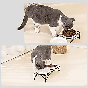 FOREYY Elevated Cat Bowls with 2 Ceramic Bowls and 2 Stainless Steel Bowls,Raised Cat Food Water Bowl with Iron Stand,Porcelain Pet Dishes for Cats and Small Dogs,16 Ounces,Dishwasher Safe