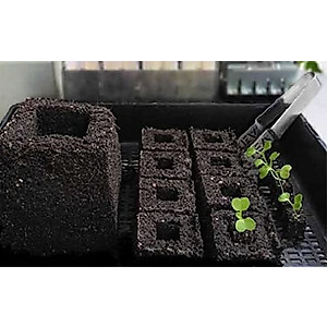 Ladbrooke Genuine Soil Block Maker - 6-Pc. Master Grower Nesting System Includes Maxi, Mini 4, Micro 20, Cubic Inserts, 1" Seed Dibbles, and Grow Tweezers, Made in England