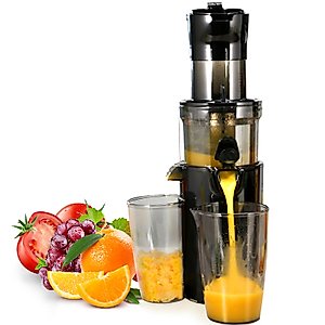 VEVOR Masticating Juicer, Cold Press Juicer Machine, Juice Extractor Maker with High Juice Yield, Easy to Clean with Brush, for High Nutrient Fruits Vegetables (Standard)