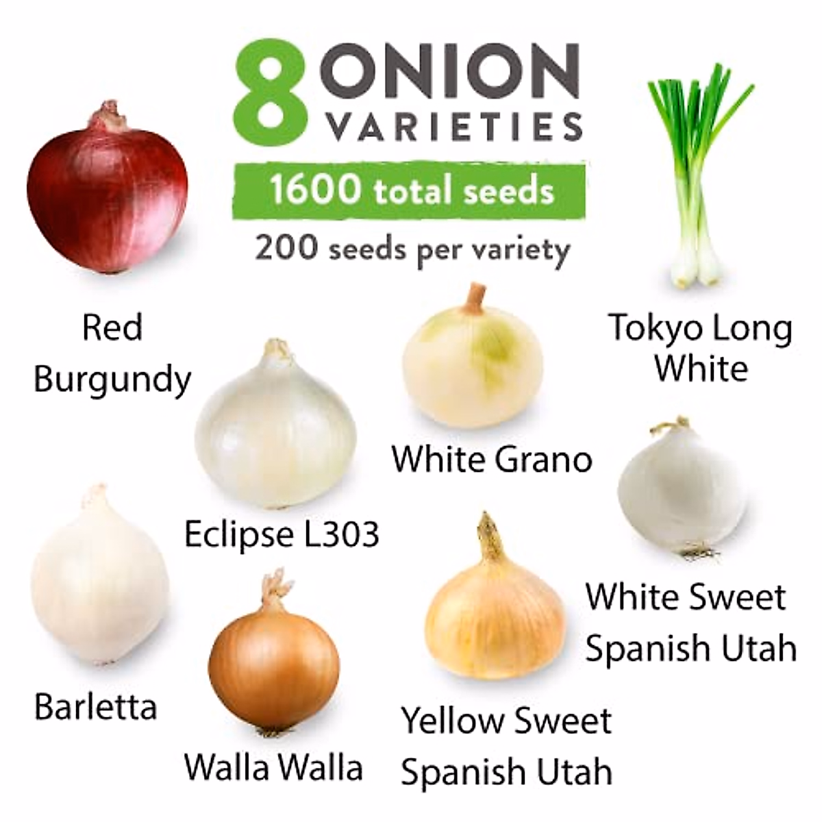 8 Onion Seeds for Planting - 1600 Heirloom Onion Seeds - Green Onion, Sweet Onions, Vidalia, Spanish, Yellow and Red Onion Vegetable Seeds for Planting and More