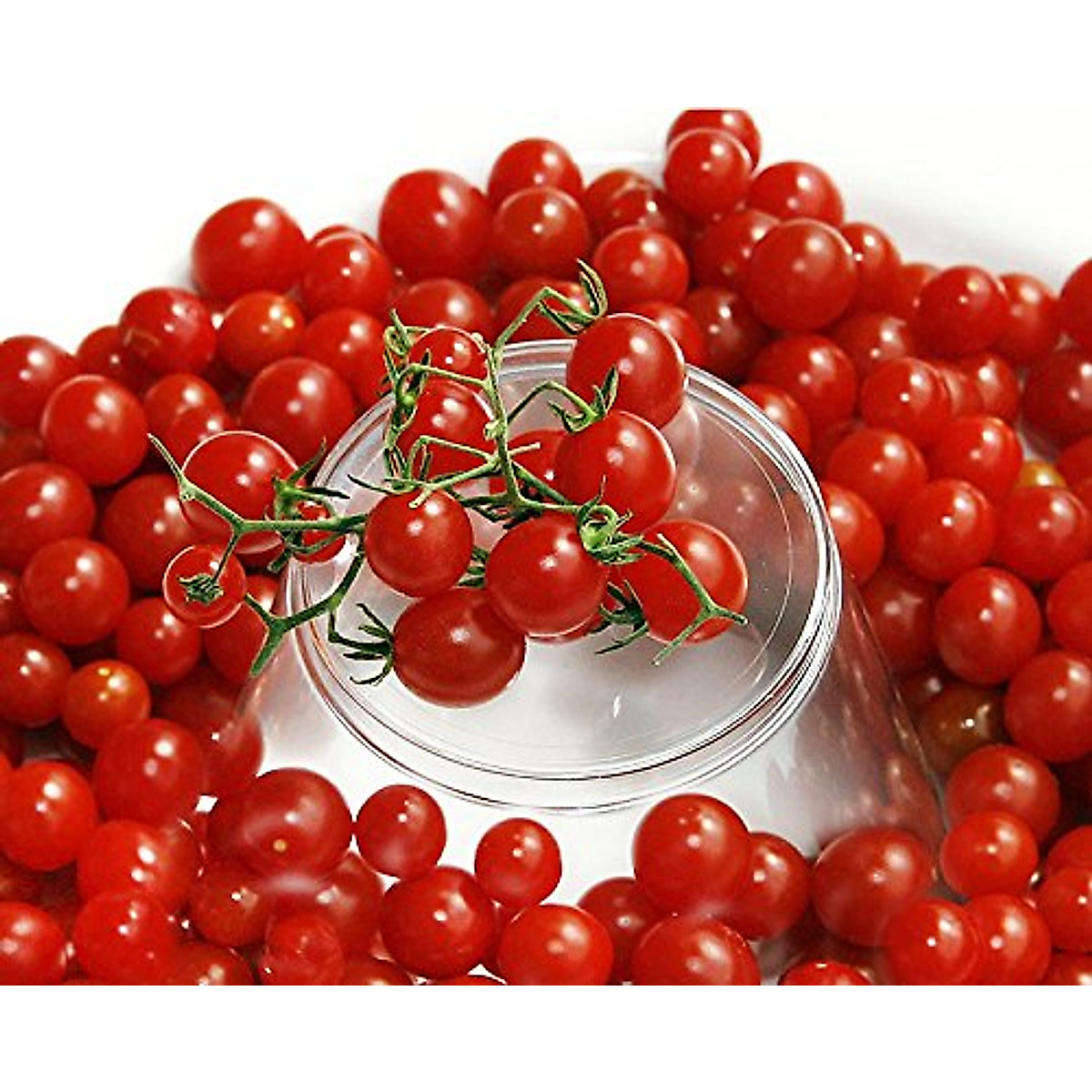 30+ Sweet Pea Currant Tomato Seeds, Heirloom Non-GMO, Extra Sweet and Heavy-Yielding, Low Acid, Indeterminate, Open-Pollinated, Long Season, Super Delicious, from USA