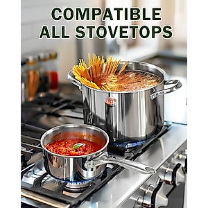 Cooks Standard Stainless Steel Saucepan with Lid, Multi-Ply Clad Sauce Pot 3-Quart, Silver