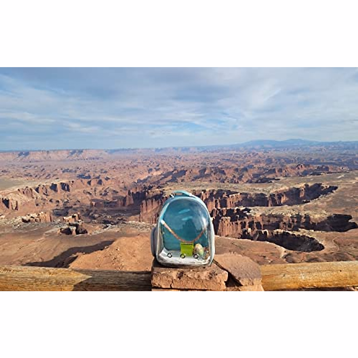 Bird Carrier Cage, Bird Travel Backpack with Stainless Steel Tray and Standing Perch