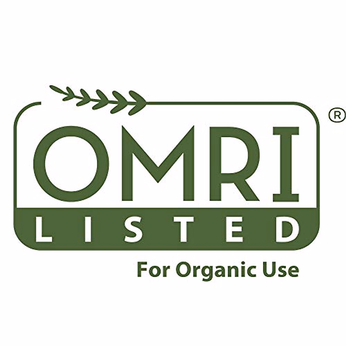 EasyGoProducts Diatomaceous Earth - 100% Natural Food Grade - DE Fresh Water – 5.5 Pounds, (Model: EGP-DE-05)