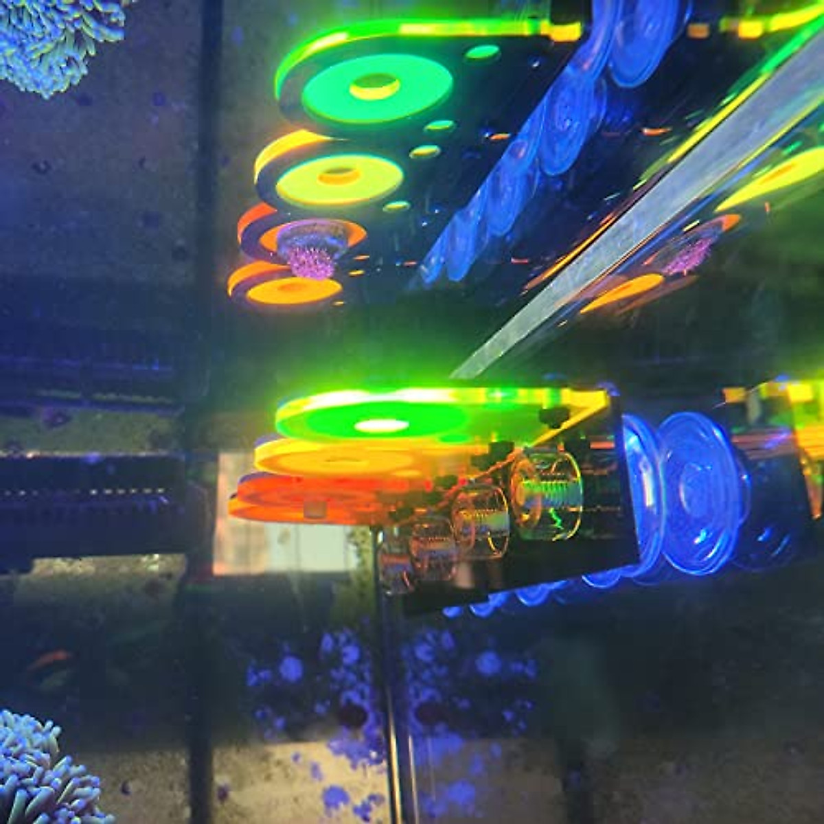 Coral Frag Rack Fluorescent Coral Brackets Holder Marine Reef Aquarium Spare Parts Cultivating Live Coral (Red Yellow Orange Green)