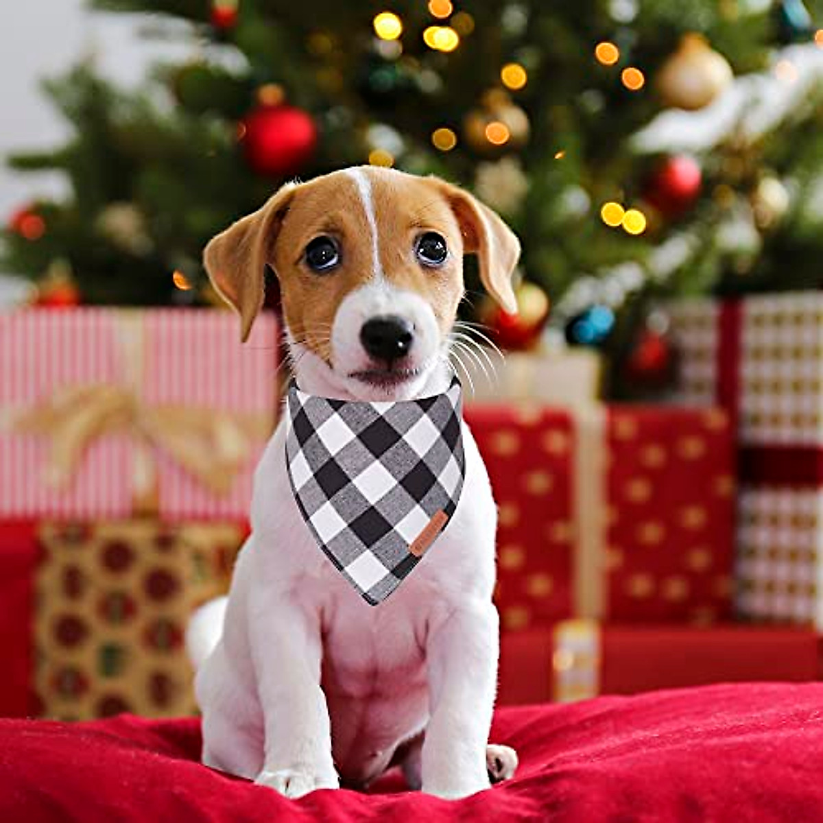 ADOGGYGO Christmas Dog Bandanas 2 Pack, Premium Cotton Fabric, Multiple Sizes Offered, White Red Plaid Bandanas for Small Dogs (Small, Red & White)