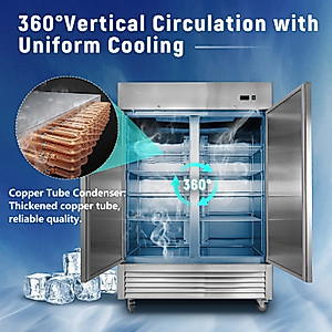 JINSONG 54" Commercial Refrigerator 2 Solid Door, 49 cu.ft 2 Section Stainless Steel Reach-in Refrigerator for Restaurant, Bar, Shop, Residential