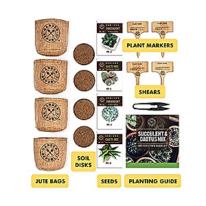 Cactus Succulent Seed Starter Kit - Indoor Garden Grow Kits, Seeds for Planting Mini Cactus Succulent Plants, Plant Markers, Soil, Pots, Wood Box - Gardening Gifts, Terrarium, Cacti Succulents Decor