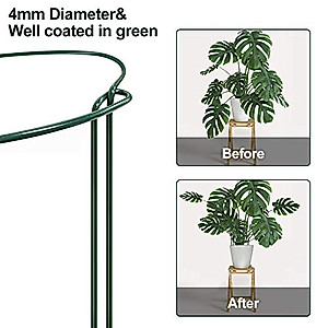 CKE 20 Pack 4mm Plant Support Stakes, Metal Peony Support, Garden Plant Cage Stake Support, Plant Support Ring, Green Half Round Plant Support Ring for Peony, Tomato, Rose, Vine Plant 10" W x 15.8" H