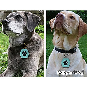 Dapper Dog Dog Tag Silencer with Gold and Silver Kwik Clips and Gold and Silver Tag Rings (Teal with Black Paw)