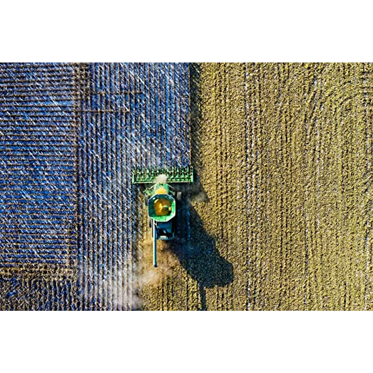 Cracked Corn for Wildlife Feeding (1, 50 Pounds)