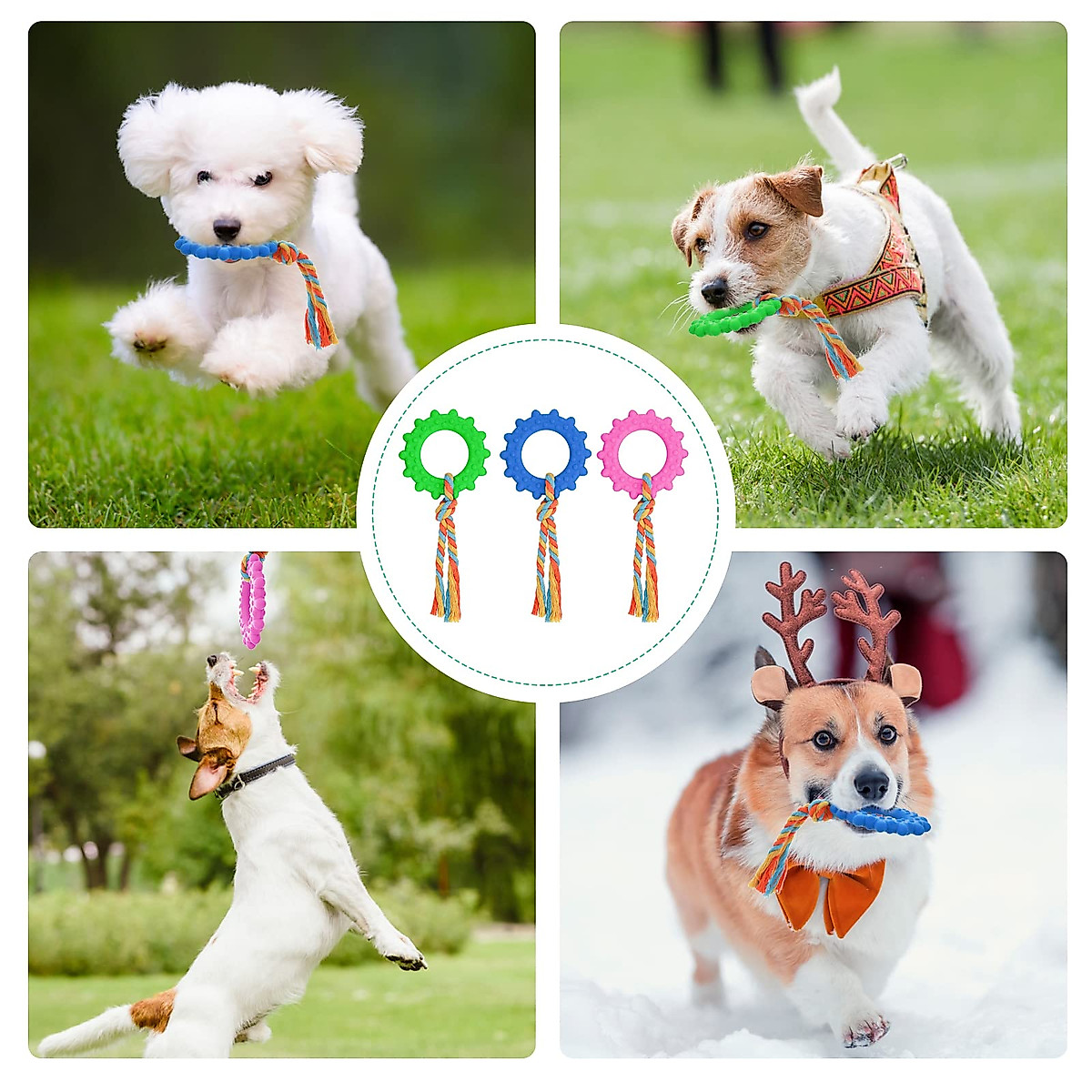 cobee Puppy Teething Toys with Cotton Ropes, 3 Pcs Cute Sun-Shaped Chew Toys for Dog Oral Teeth Soothe Itching 360° Clean Pet Teeth Interactive Pet Chew Ring for Small/Medium Dogs(Green, Pink, Blue)